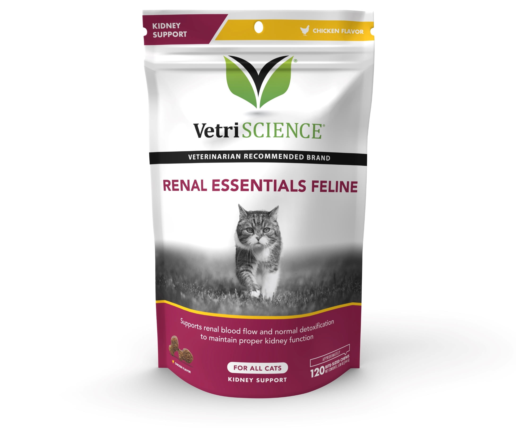 VetriScience Renal Essentials Cats' Kidney Support Supplements, Chicken ...
