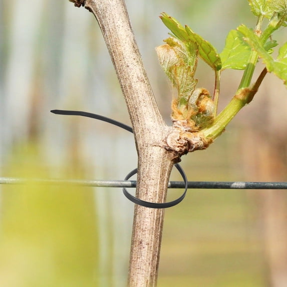 VEVOR 1000 Pack Cable Zip Ties, 12-inch Heavy Duty Cable Wire Ties with ...