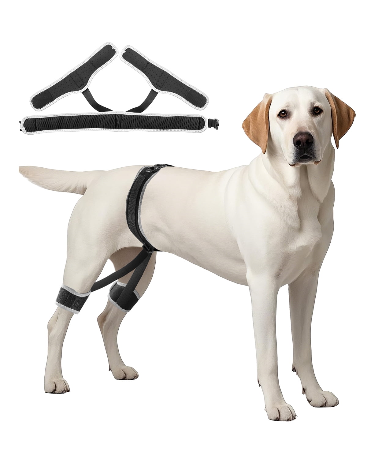 VEVOR Dog Hip Support Brace, Breathable & Durable Support Brace for ...
