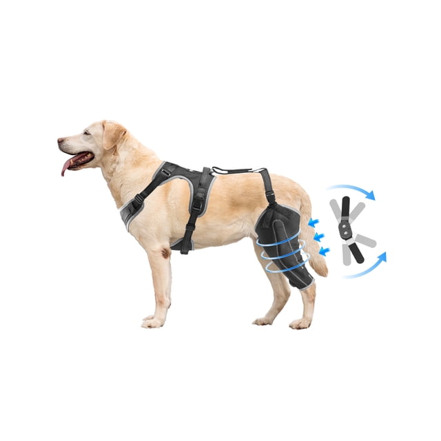 VEVOR Dog Knee Brace for Torn ACL, Dog Leg Brace with Adjustable Hinge ...