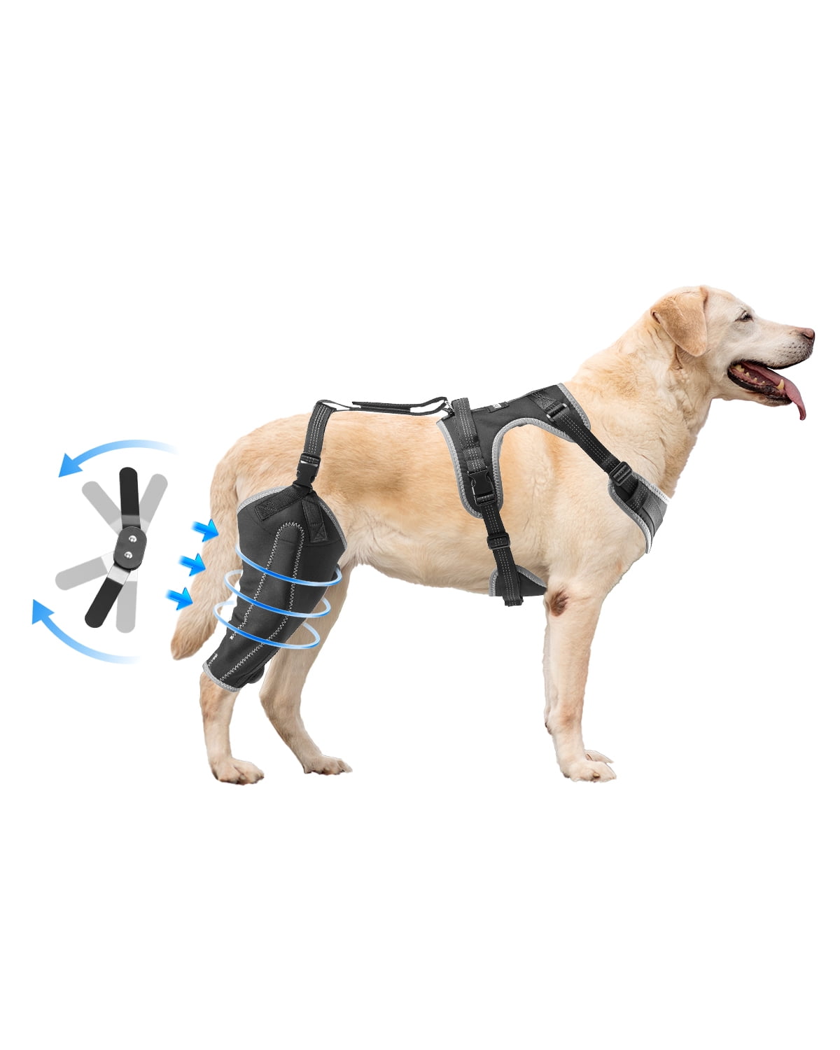 VEVOR Dog Knee Brace for Torn ACL, Dog Leg Brace with Adjustable Hinge ...