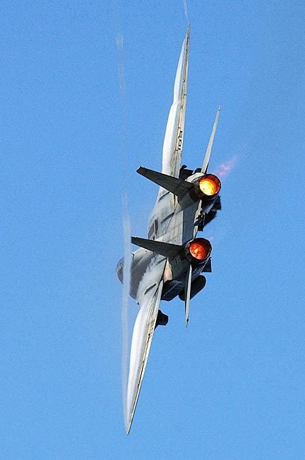 VF-32 F-14 / F-14B Tomcat in Flight Style - A - 20x30 Inch Laminated ...