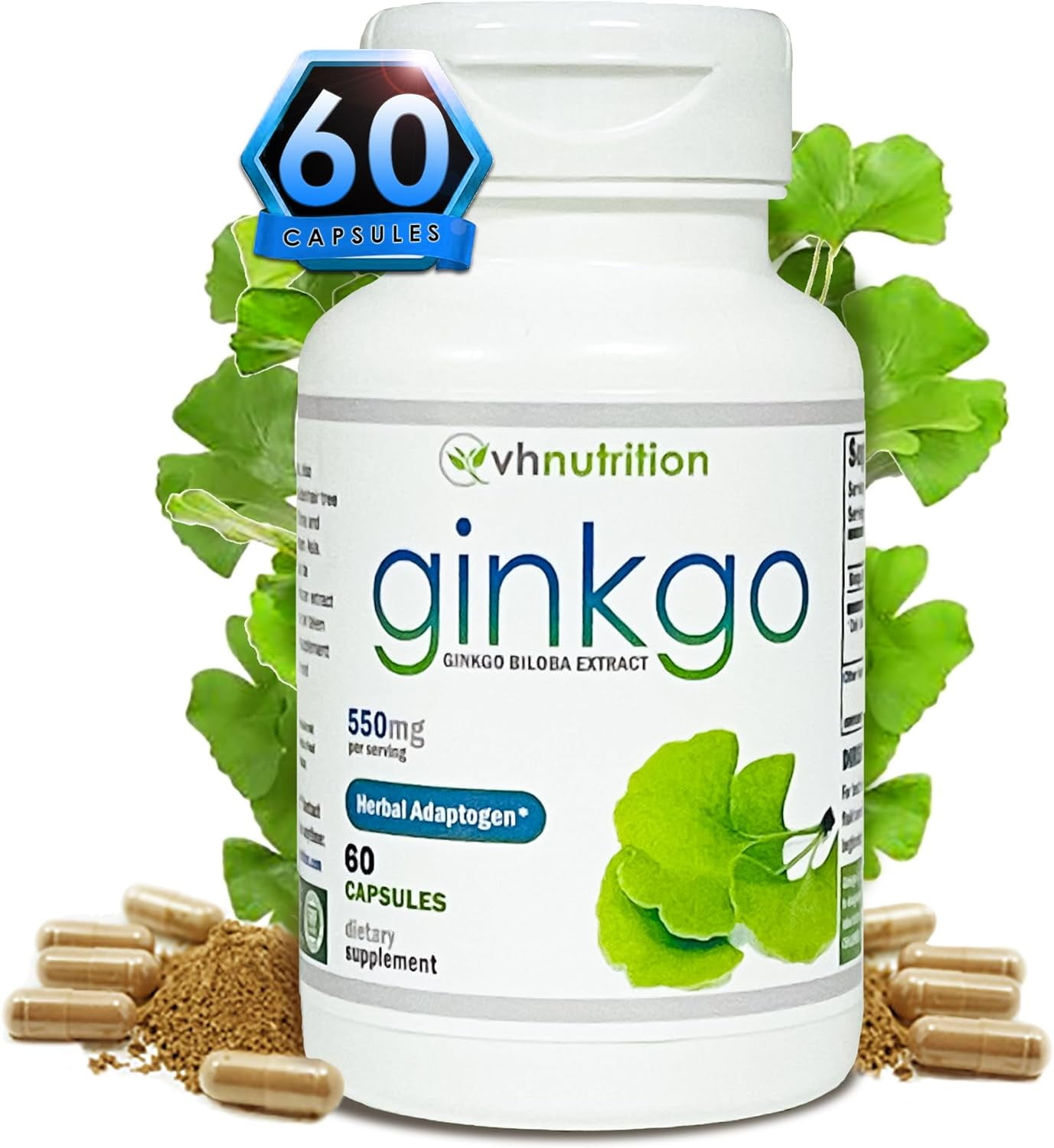 VH Nutrition Ginkgo Biloba Supplement 550mg | Cognitive and Memory ...