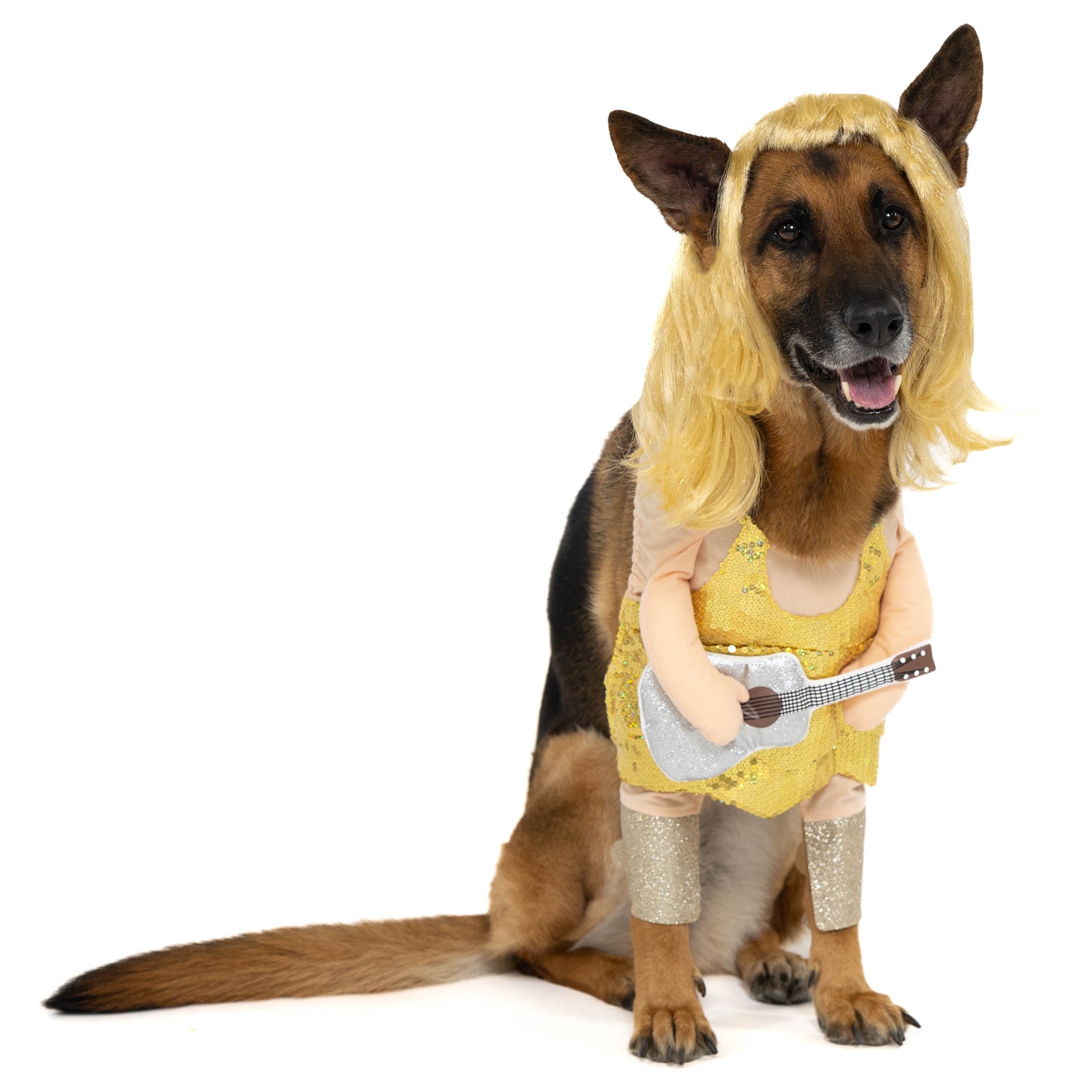 Vibrant Life Halloween Dog Costume and Cat Costume: Rock Star, Size ...