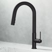 Free Shipping! VIGO Edison Single Handle Pull-Down Sprayer Kitchen ...
