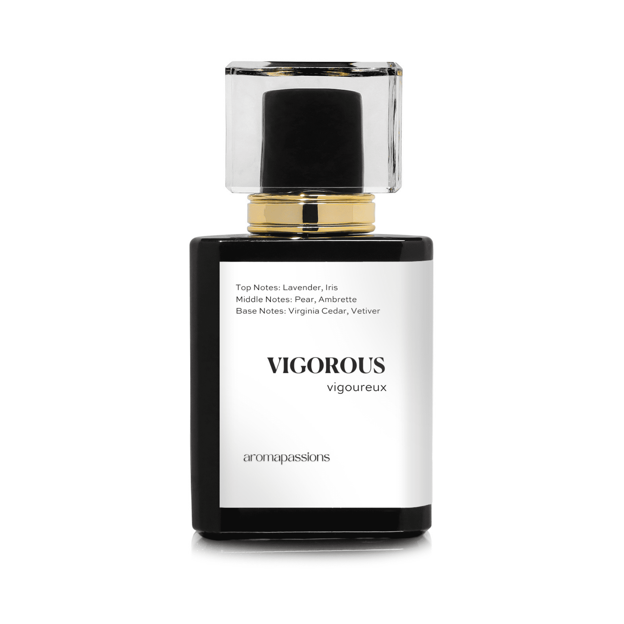 VIGOROUS | Inspired by Dior HOMME | Pheromone Perfume for Men | Extrait ...