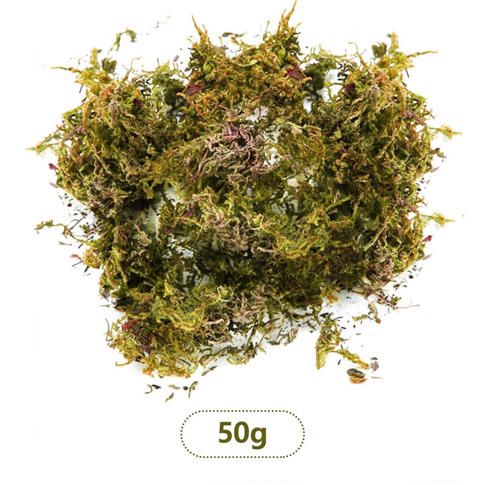 VINOIC Artificial Moss for Potted Plants, Greenery Moss Decor for ...
