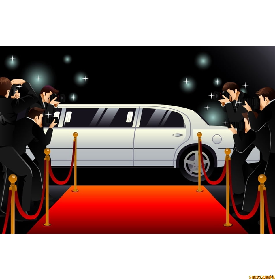VIP Carpet Movie Theme Backdrop Birthday Party Star Evt Curtain Light ...