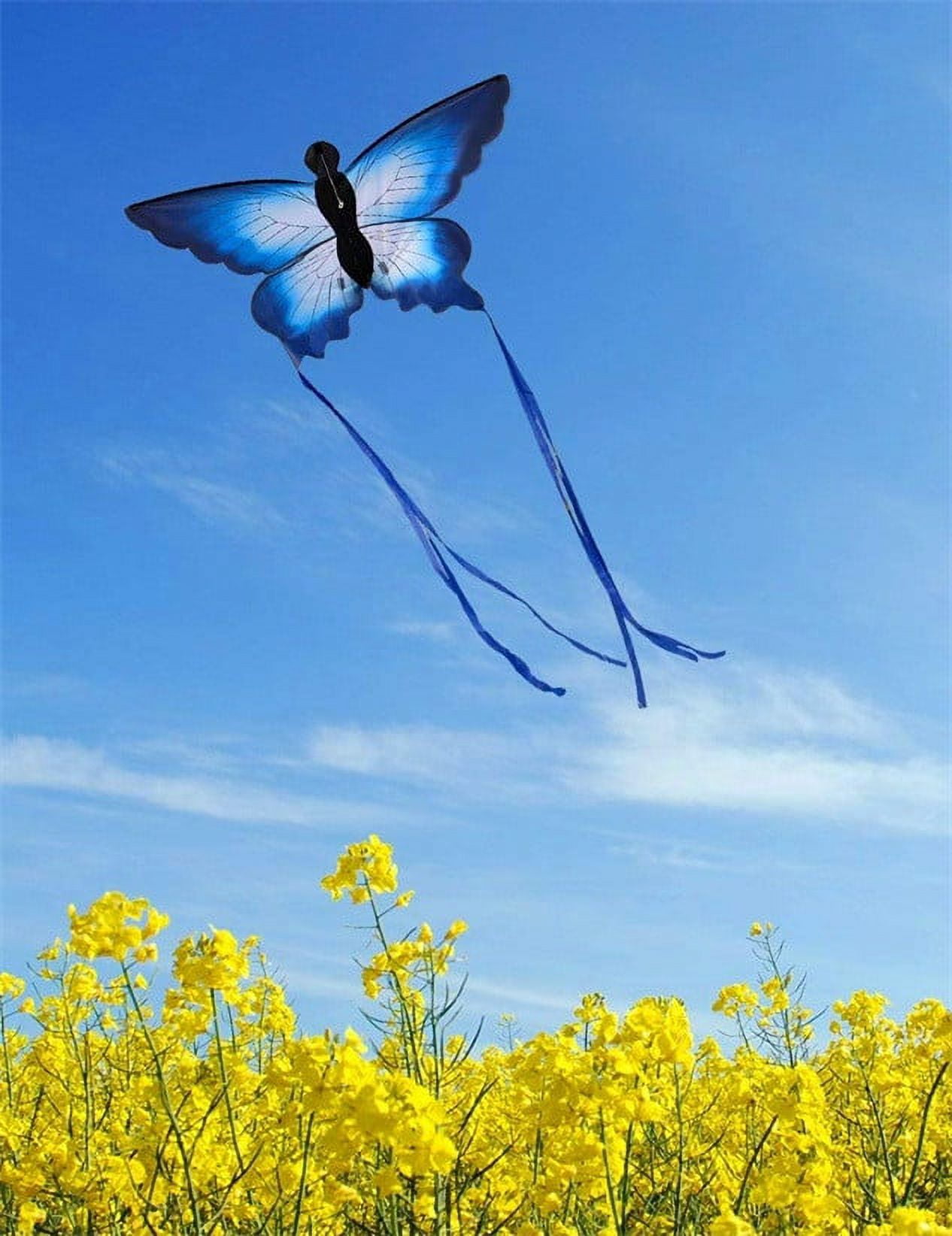 VISALY Beautiful Butterfly Kite Outdoor Games and Activities Single ...