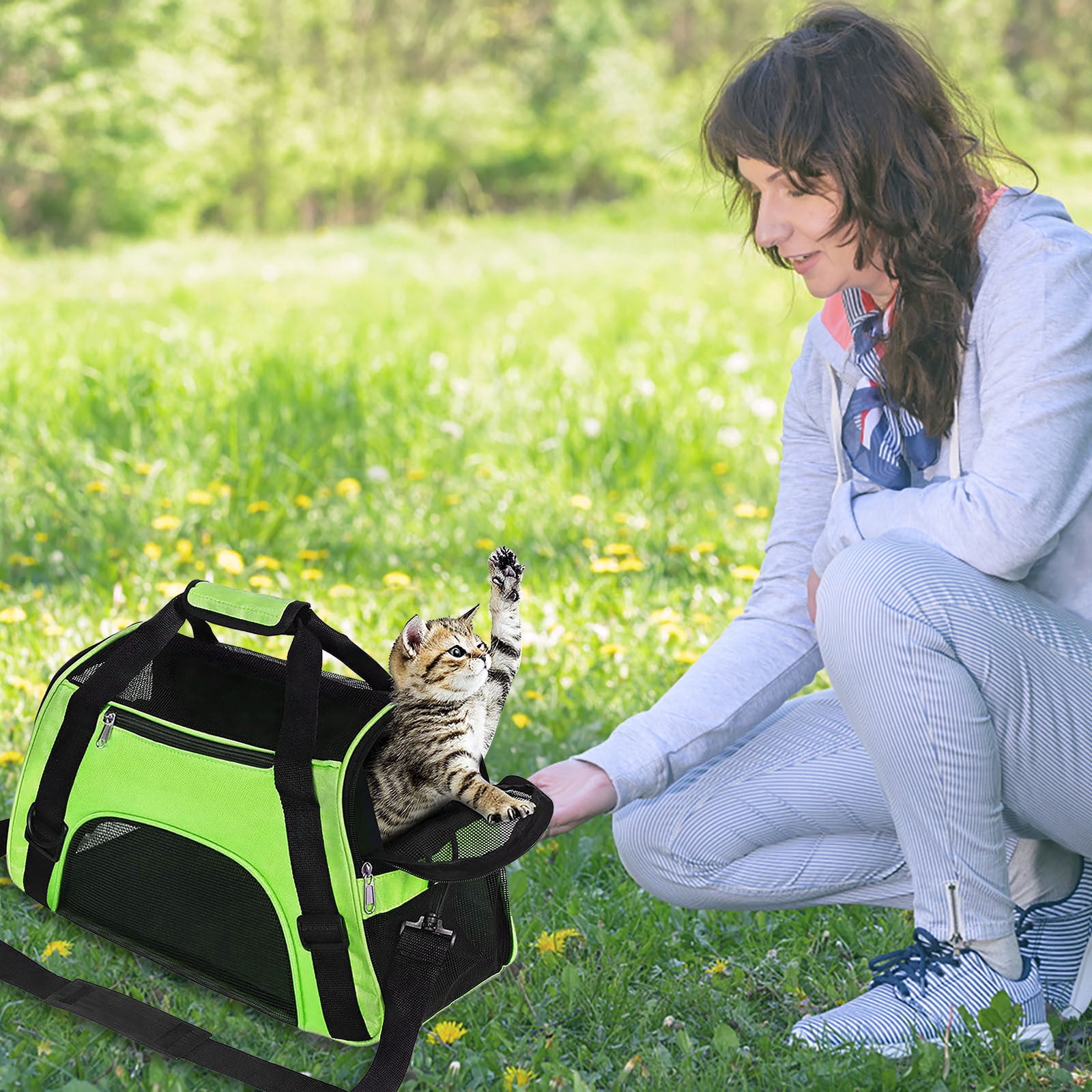 VISALY Cat Carriers Soft Sided Pet Travel Carriers for Cats Dogs Puppy ...