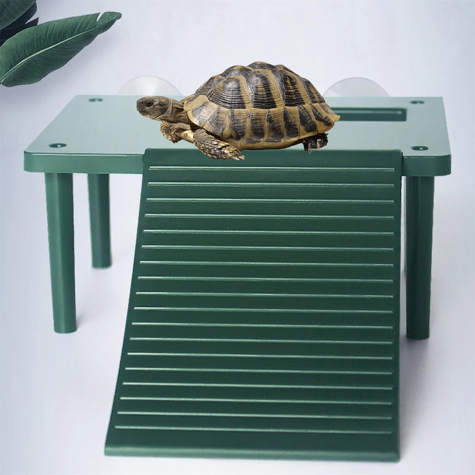 VISALY Decorative Turtle Dock Floating Basking Ladder Platform with ...