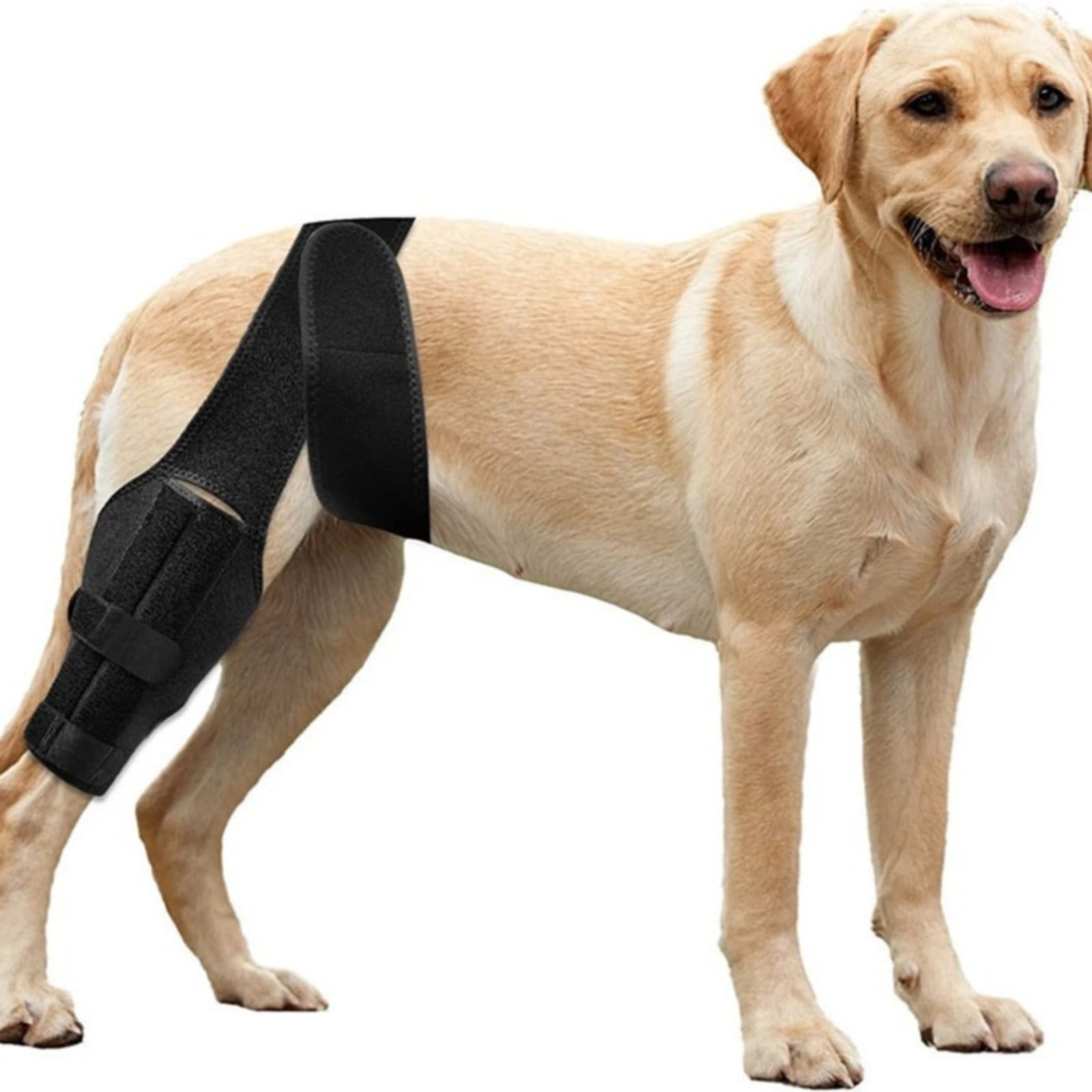 VISALY Dog Knee Brace for Hind and Rear Leg, Support for Dog ACL CCL ...