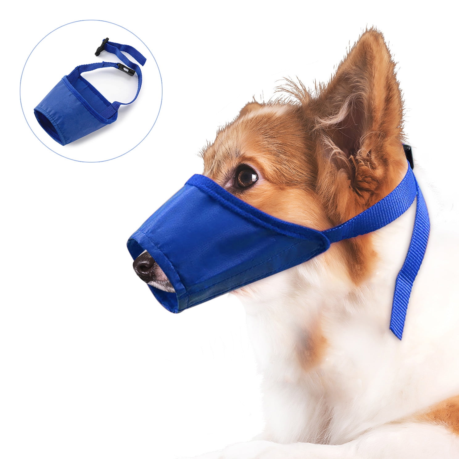 VISALY Dog Muzzle Guard, Secure, Prevents Biting Chewing, Pitbull ...