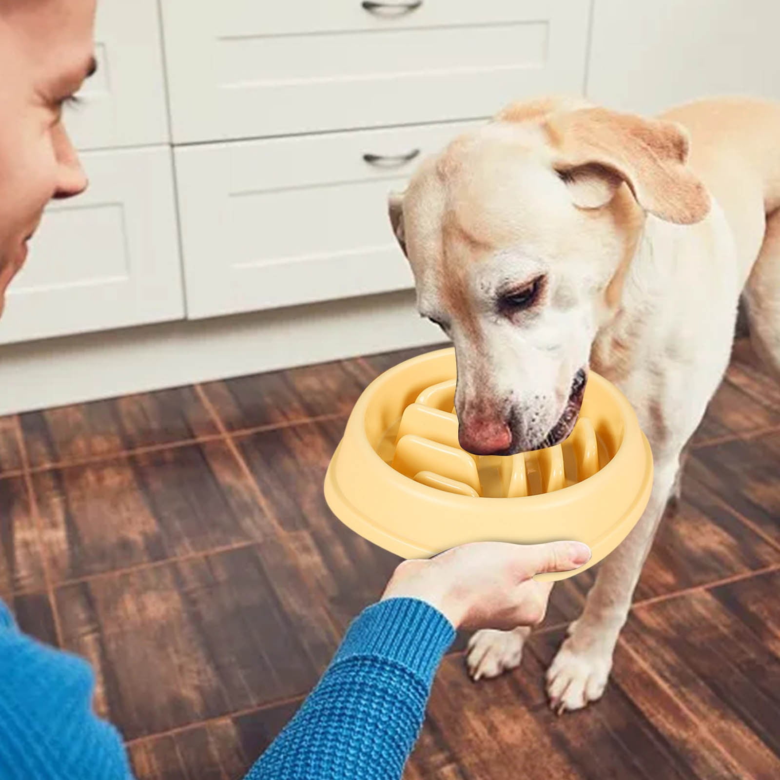 VISALY Slow Feeder Dog Bowls, Anti-Choking Puzzle Dog Food Bowls, Anti ...