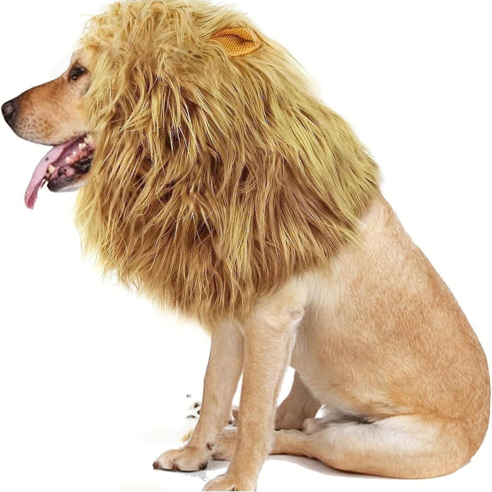 VISALY for Dog Black for Dog Costume for Dog Realistic Wig Pet Clothes ...
