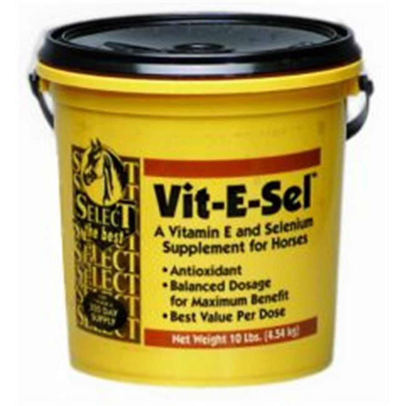 Vit-e-sel Vitamin & Mineral Supplement For Horses - Walmart.com