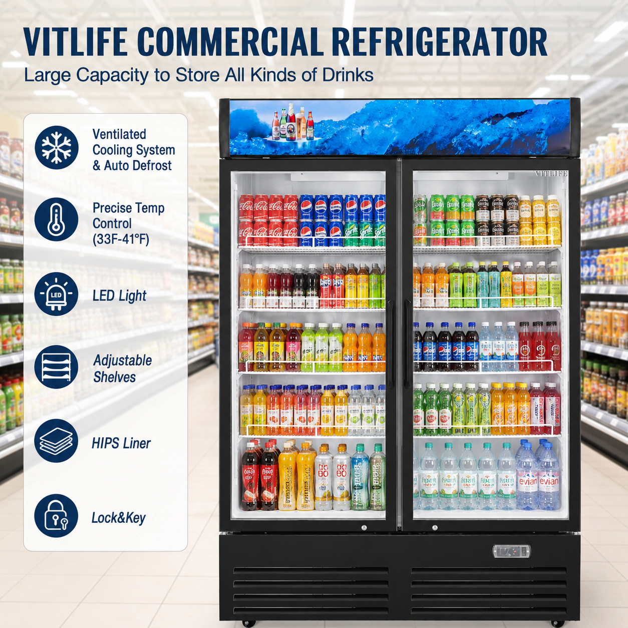 VITLIFE 26 Cu.Ft. Commercial Merchandiser Refrigerator, 2 Glass Door ...