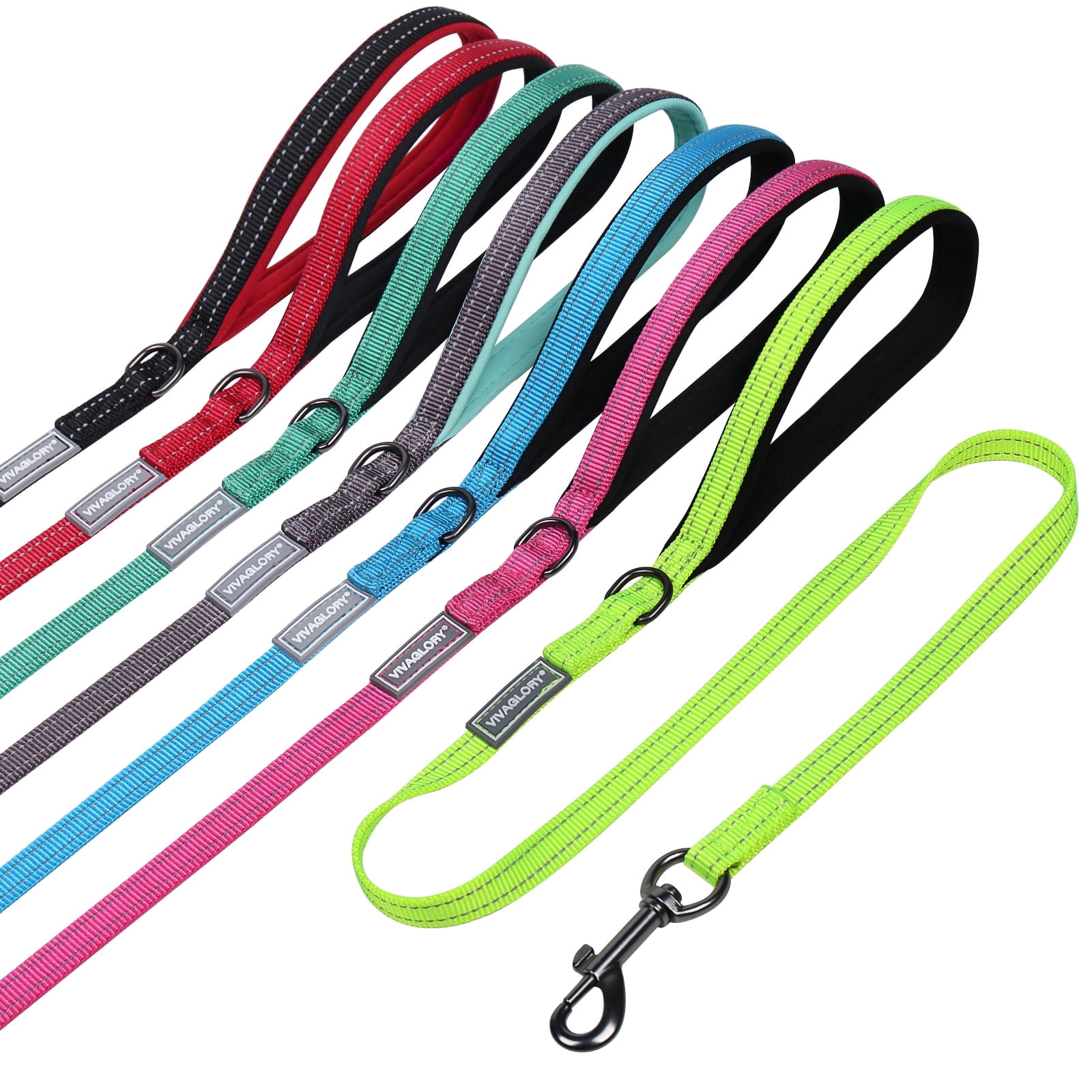 VIVAGLORY Dog Leash with Padded Handle, Reflective Nylon Lead, Small ...
