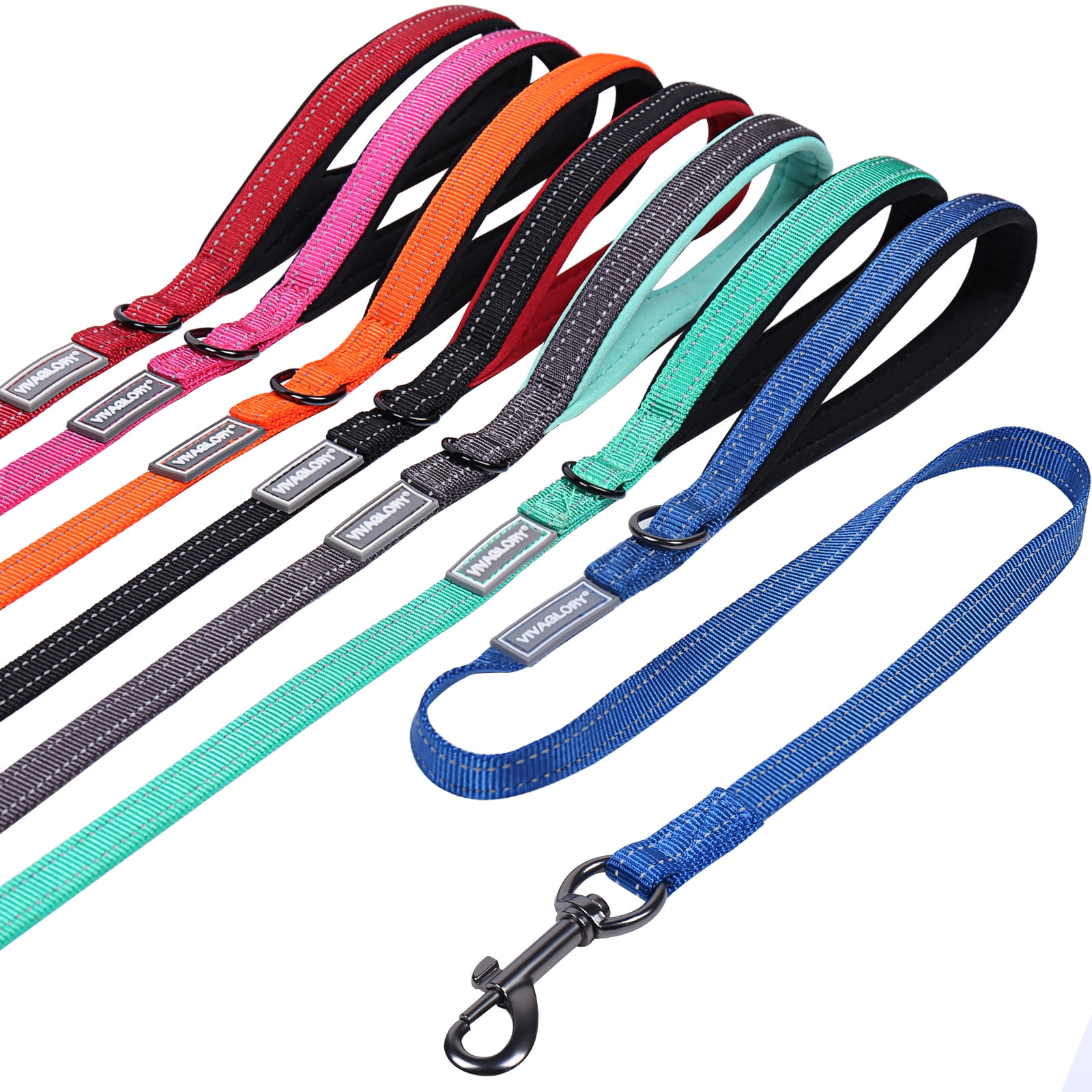 VIVAGLORY Dog Leash with Padded Handle, Reflective Nylon Lead, Small ...