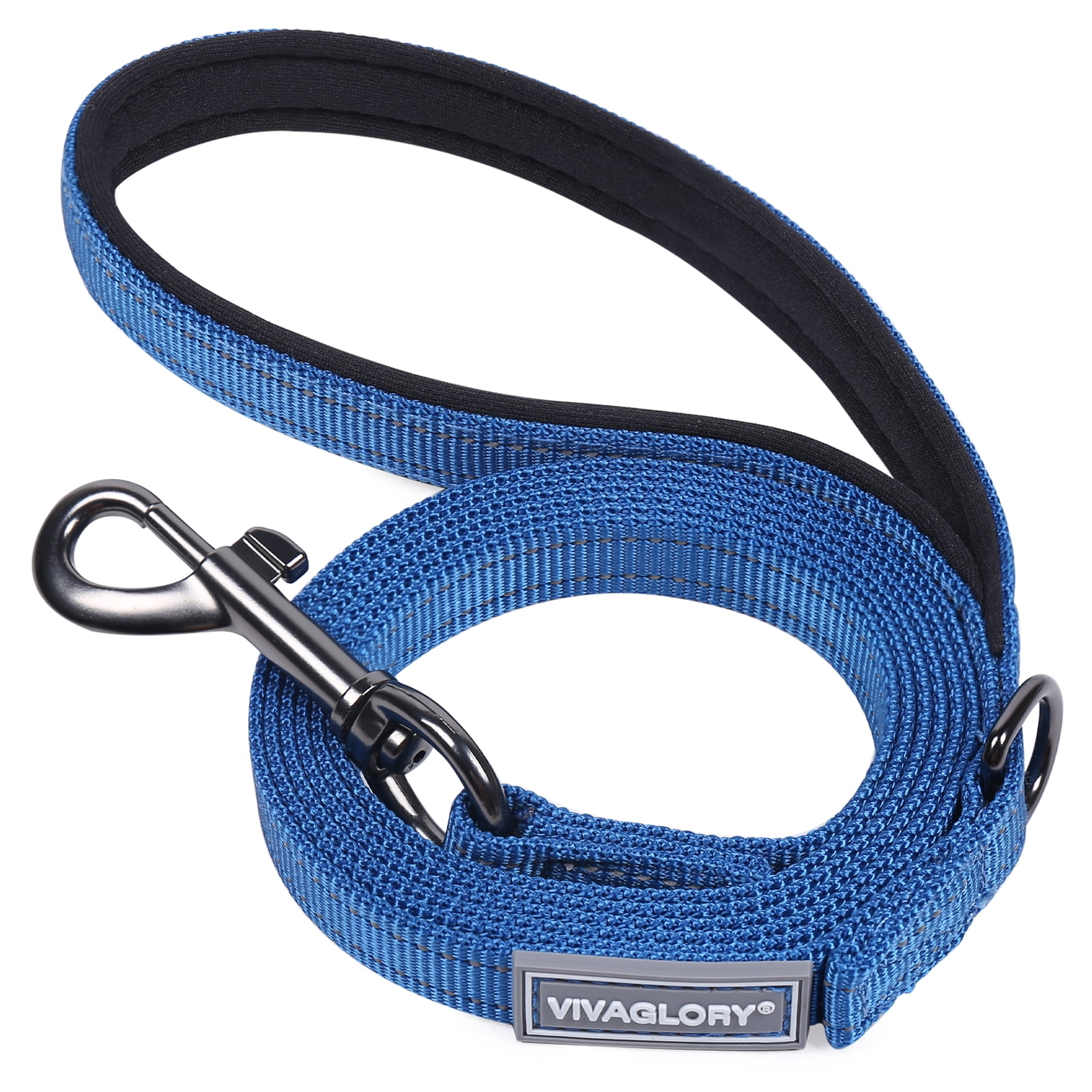 VIVAGLORY Dog Leash with Padded Handle, Reflective Nylon Lead, Small ...