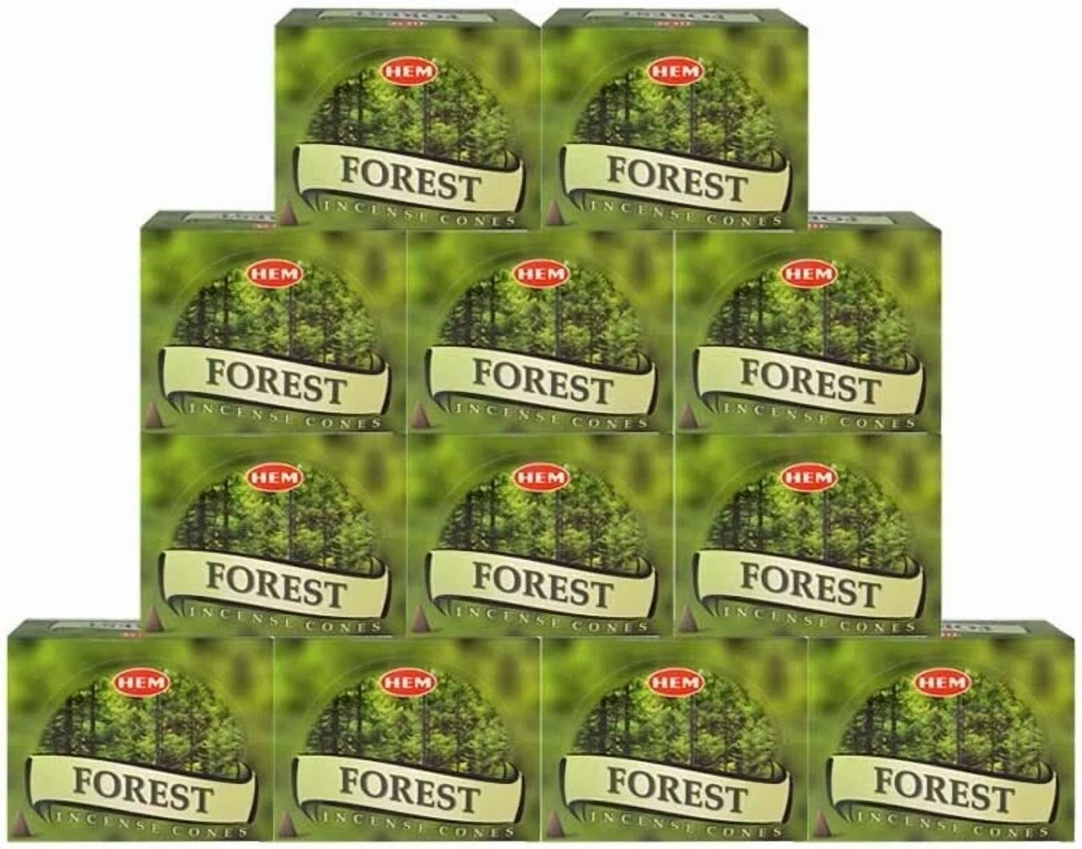 VIVIAN- Hem Forest Pack Of 12 Incense Cones Boxes, 10 Cones Each ...