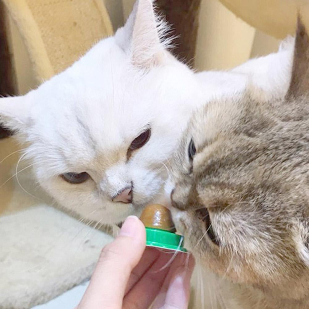 VIVIDCRAFT 110X Cat Snacks Catnip Sugar Candy Lick Nutrition Desund ...