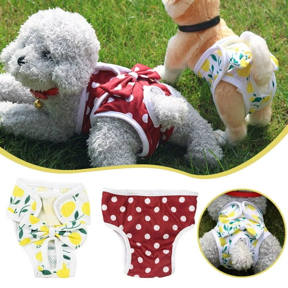 VIVIDCRAFT Physiological Pants for Dogs Pet Diapers Female Sanitary ...