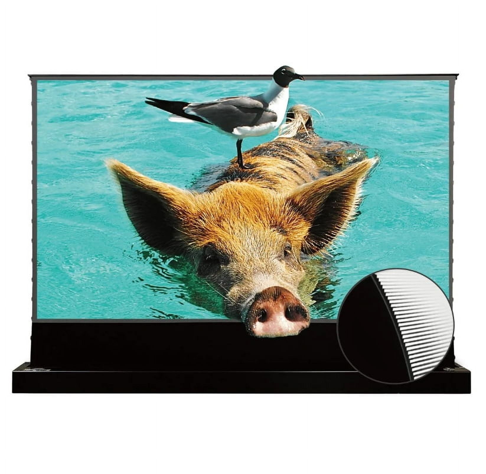 VIVIDSTORM 120 inch 4K UST Laser Projector Screen, Portable Indoor ...