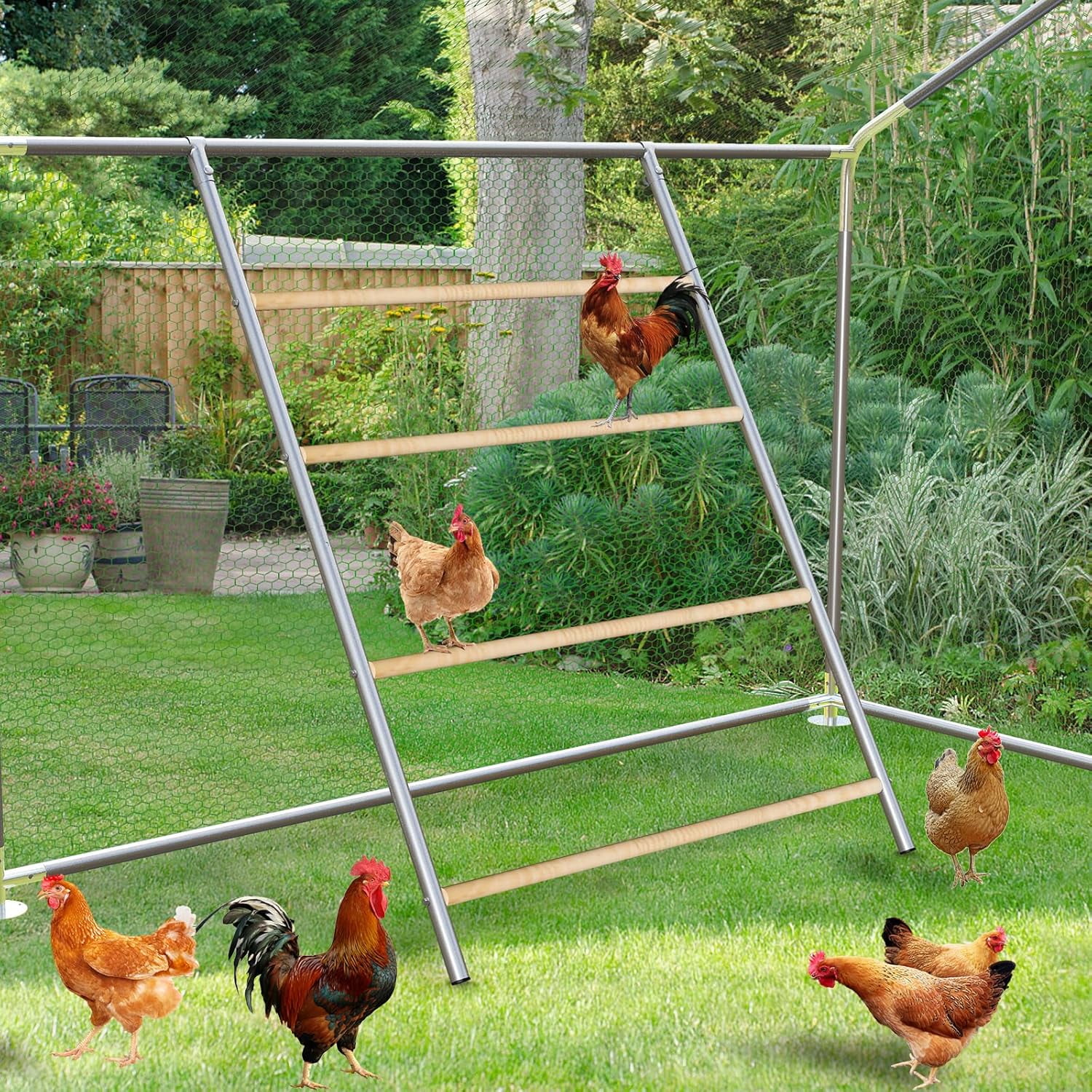 VIVIJASON Chicken Coop Roosting Essentials, Chicken Roosting Ladder ...
