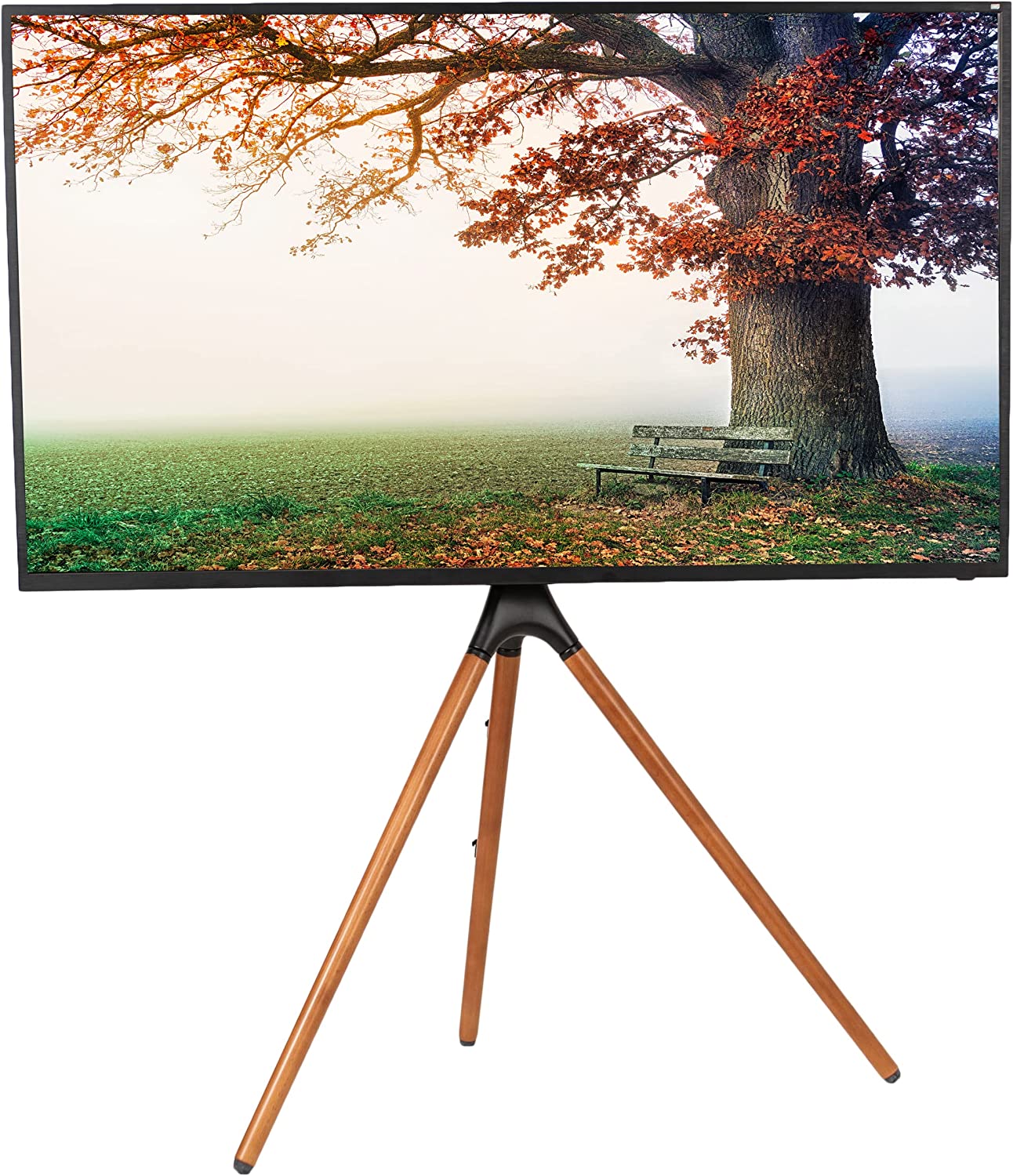 VIVO Artistic Easel 45 to 65 inch LED LCD Screen, Studio TV Display ...