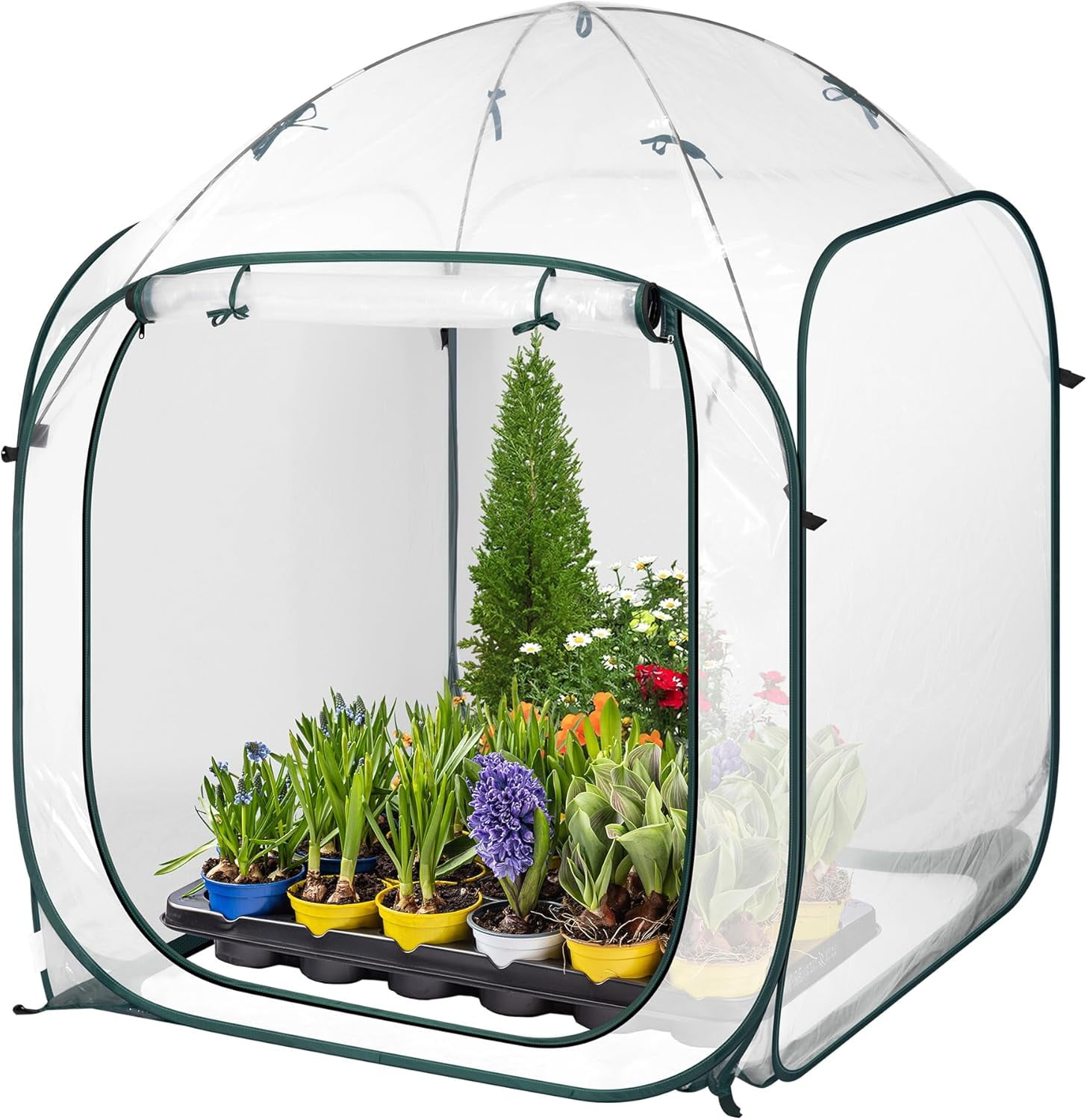 VIVOSUN 49x49x63-Inch Portable Walk-in Greenhouse, with PVC Cover ...
