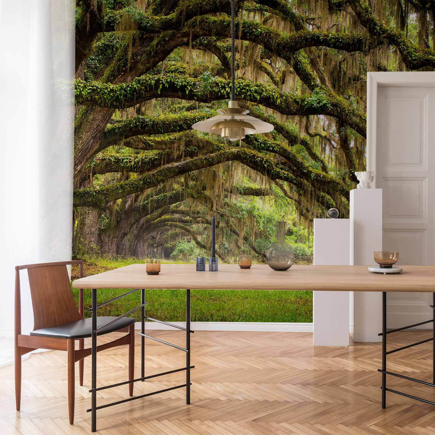 VIVYET Wall Mural - Tree embrace - Walmart.com