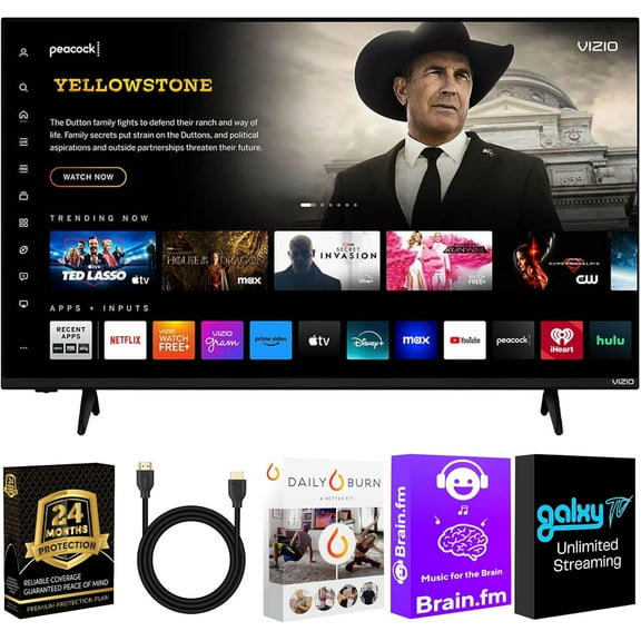 Vizio 43 Inch Smart Tv