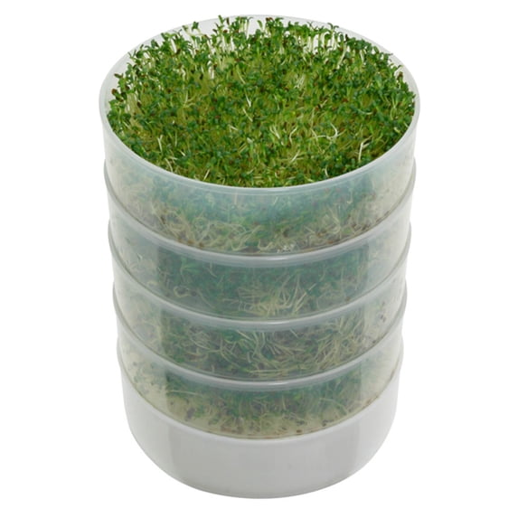 VKP Brands Kitchen Crop 4-Tray Sprouter with Lid and Sprouting Set ...