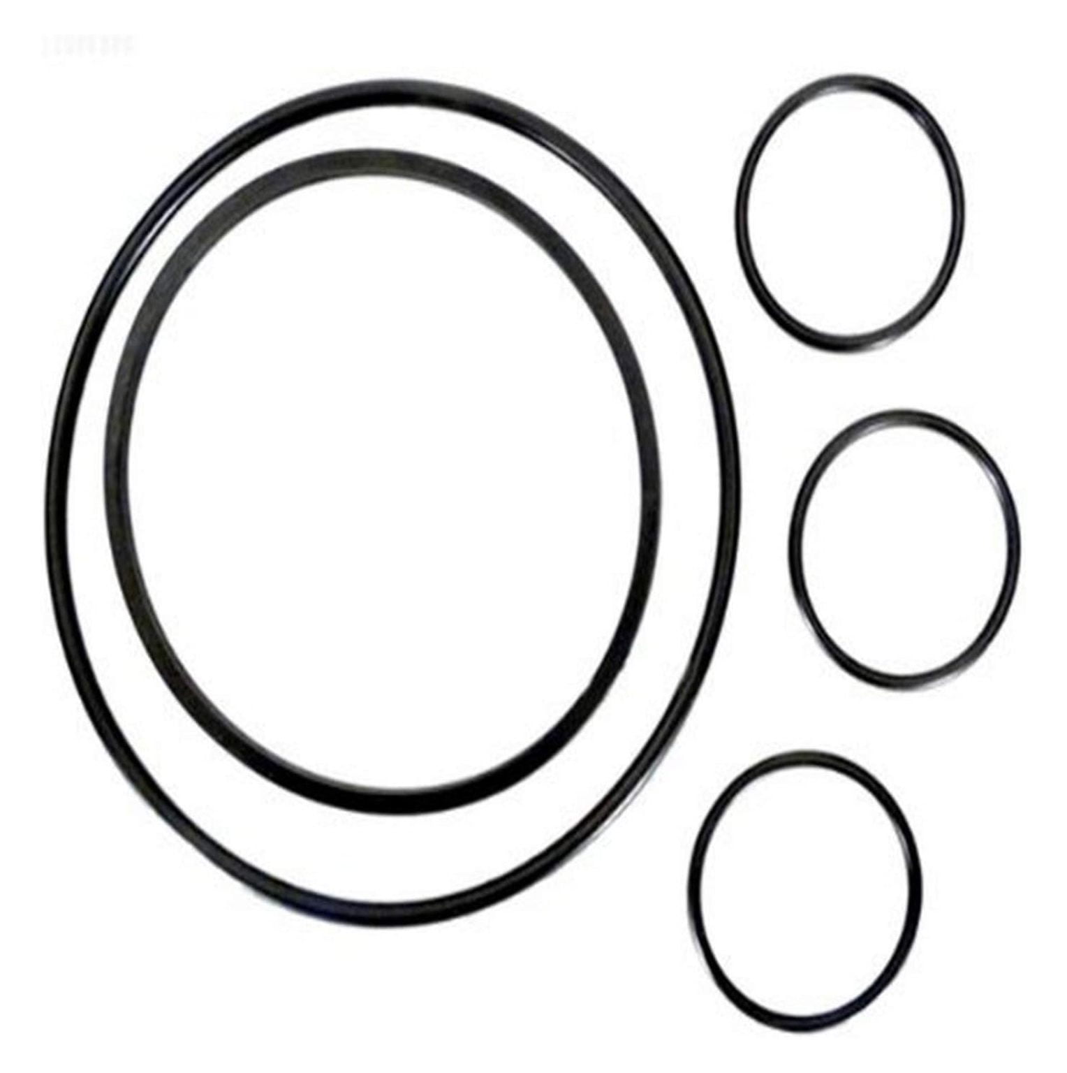 VLX4004A O-Ring Replacement Kit for VL40T32 Sand Filter - Strainer ...