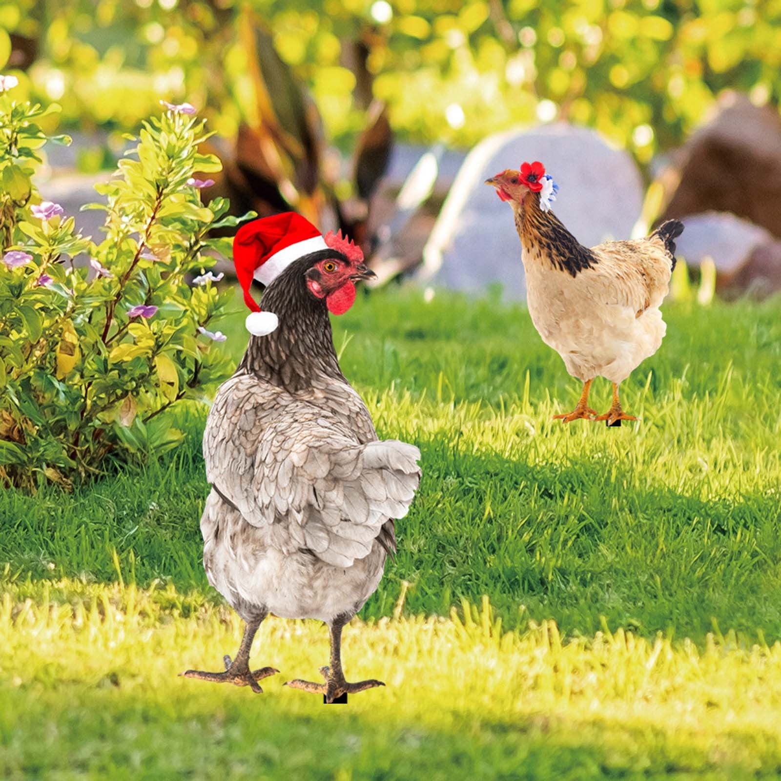 2 Pack Acrylic Chicken & Hen Garden Stake, Garden Courtyard Insert ...