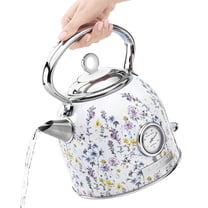VQ Laura Ashley SS 1.7L Dome Kettle, China Rose - Walmart.com
