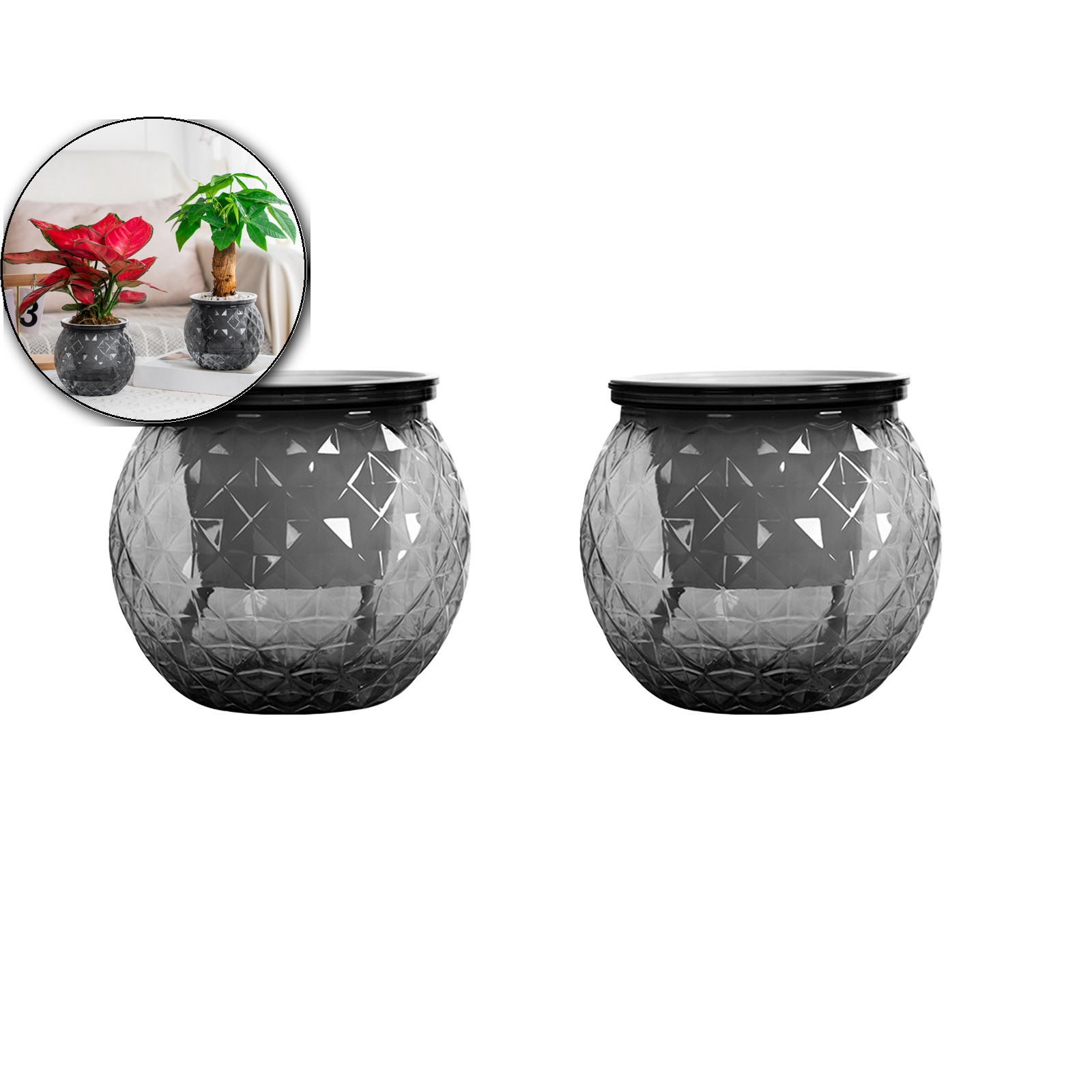 VQPeo 2-Pack Transparent Hydroponic Flower Pots for Indoor Plants ...
