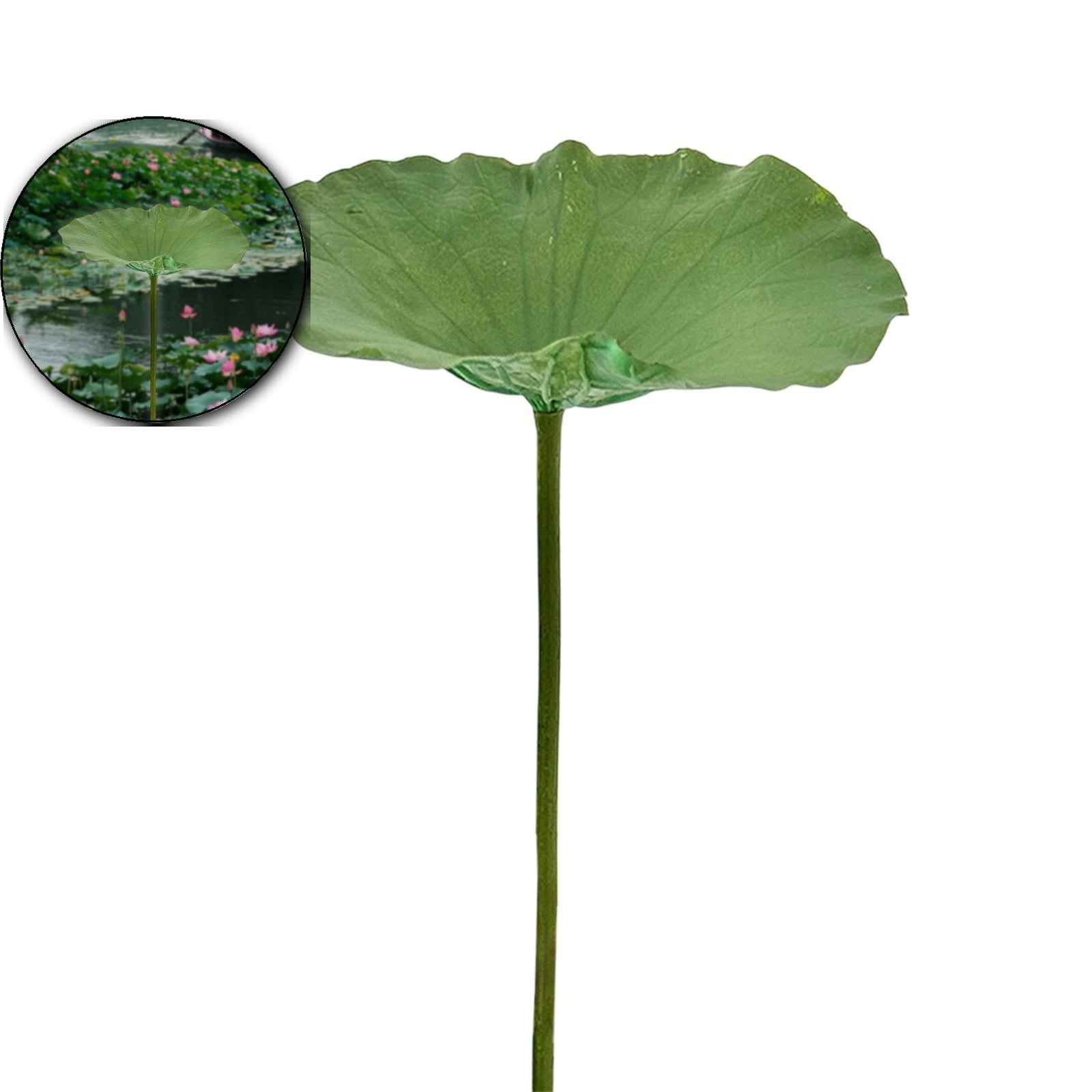 VQPeo Artificial Lotus Flower Arrangement, Fake Water Lily Home Decor ...