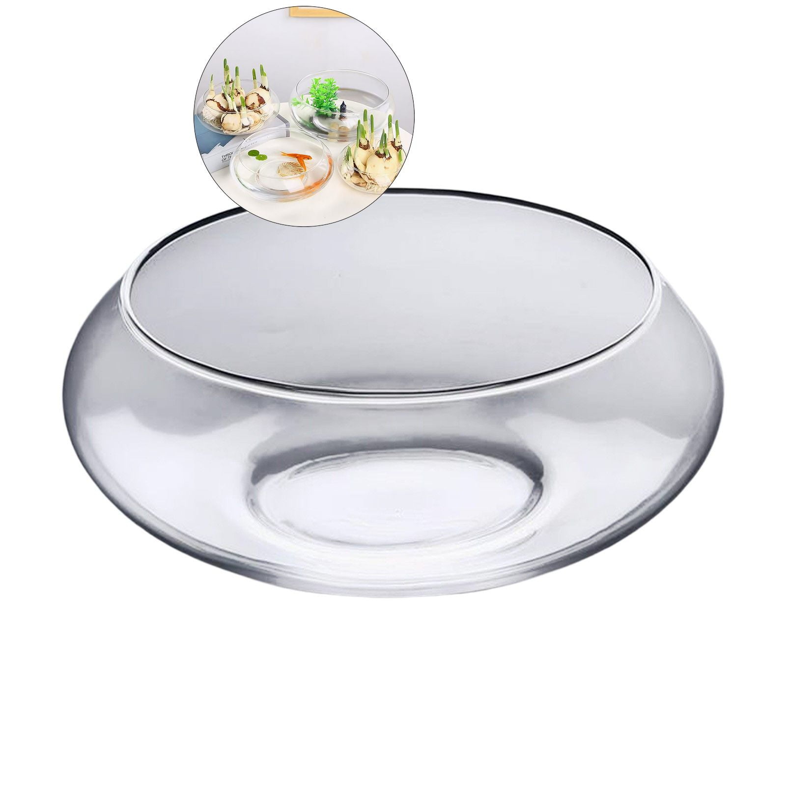 VQPeo Wide Mouth Flower Vase Bowl, Round Terrarium Planter, Small Fish ...