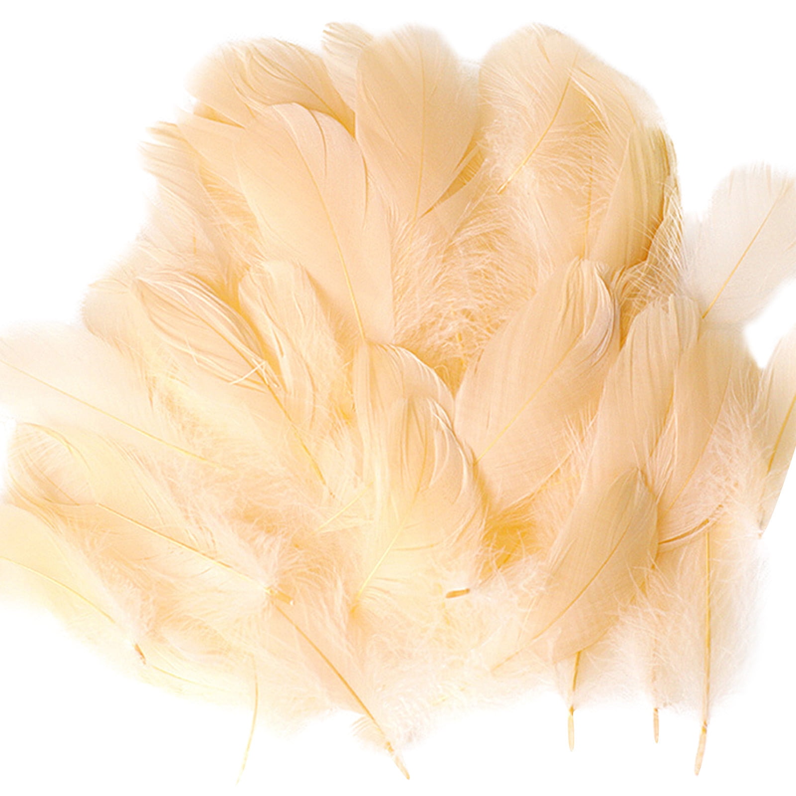 VSFAOV 50 Pieces Set Natural Colourful DIY Feather Craft Toy Natural ...