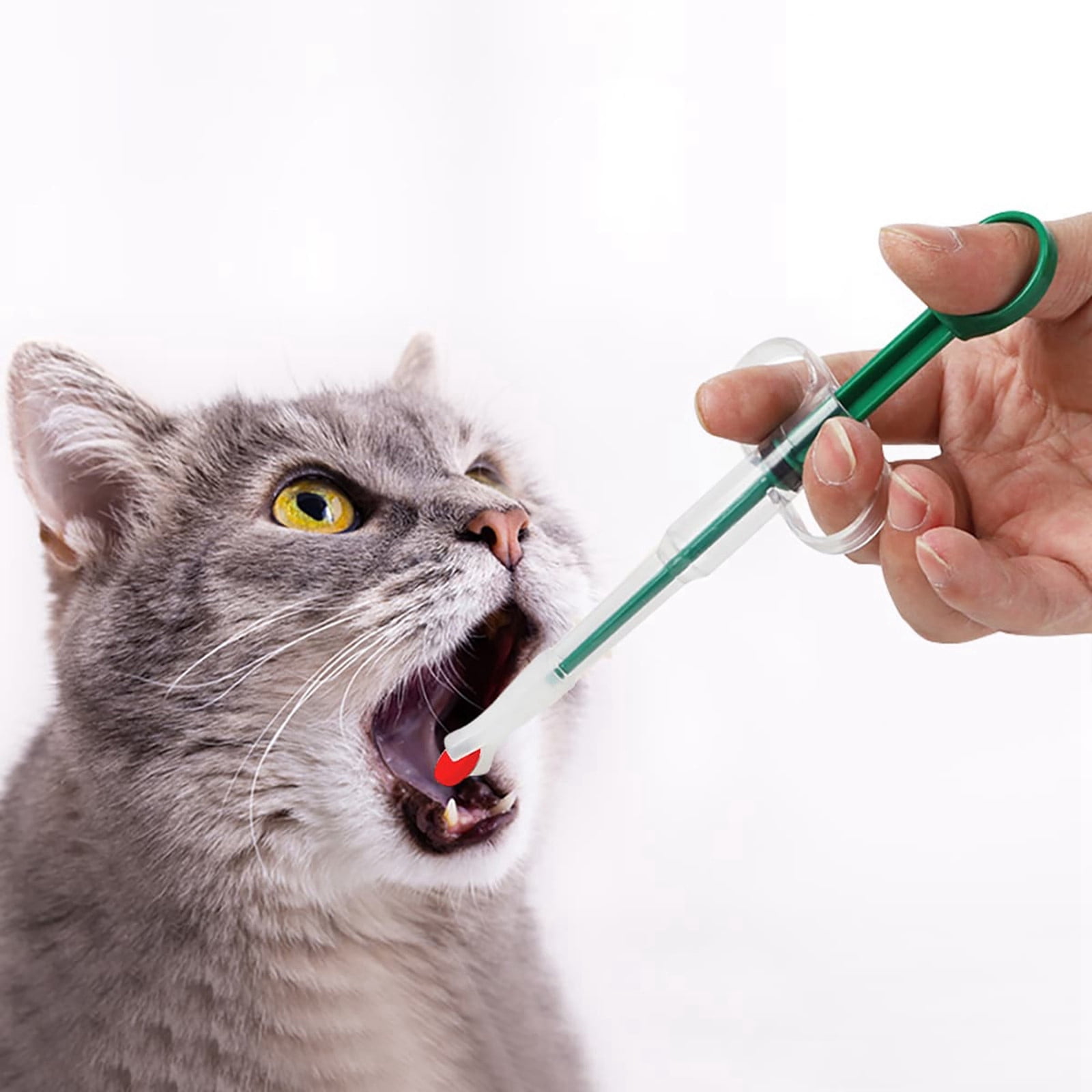 VSFAOV Comfortable Pet Feeder Feeding Stick Dogs And Cats Can Feed ...