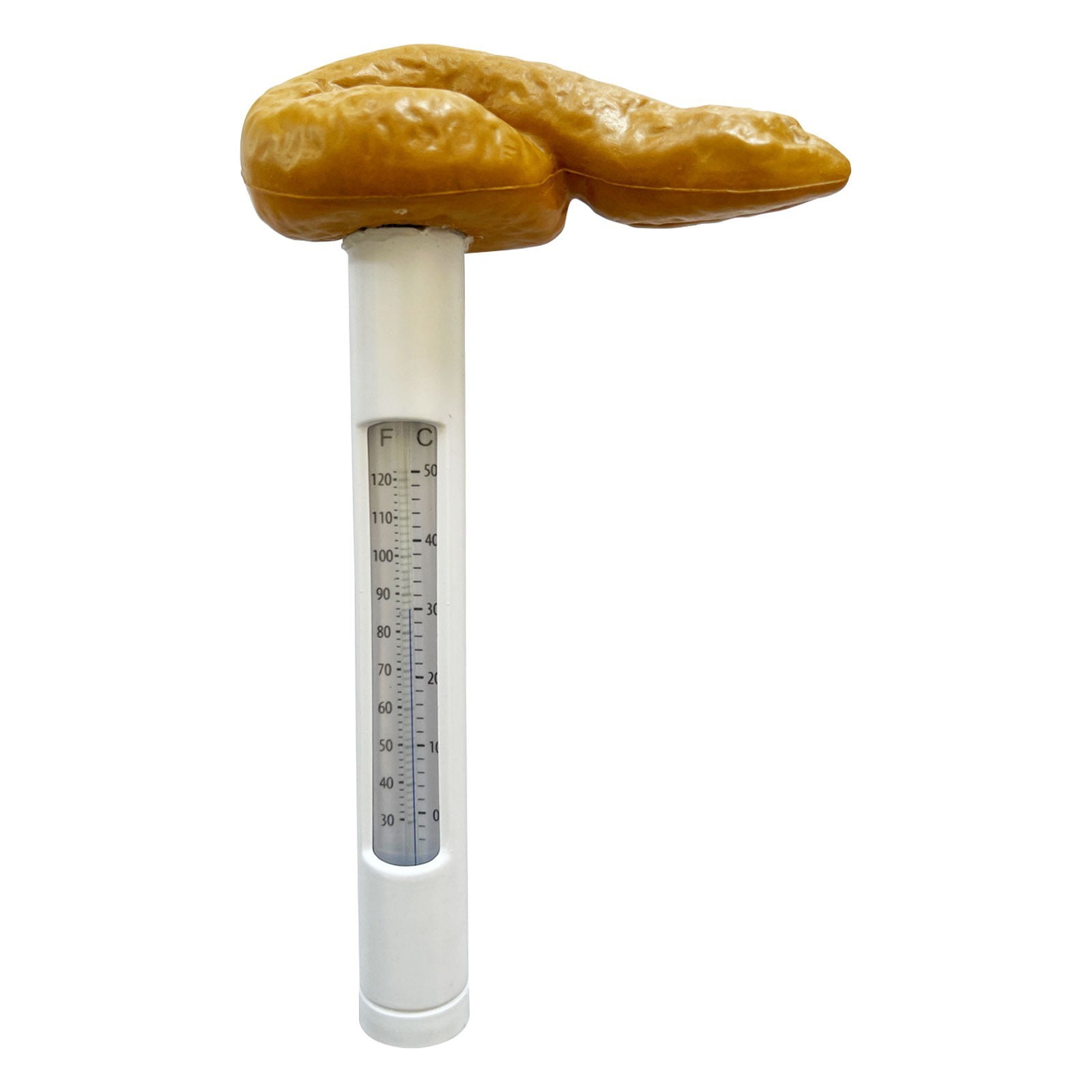 VSFAOV Funny Poop Shaped Floating Pool With Accurate Temperature ...