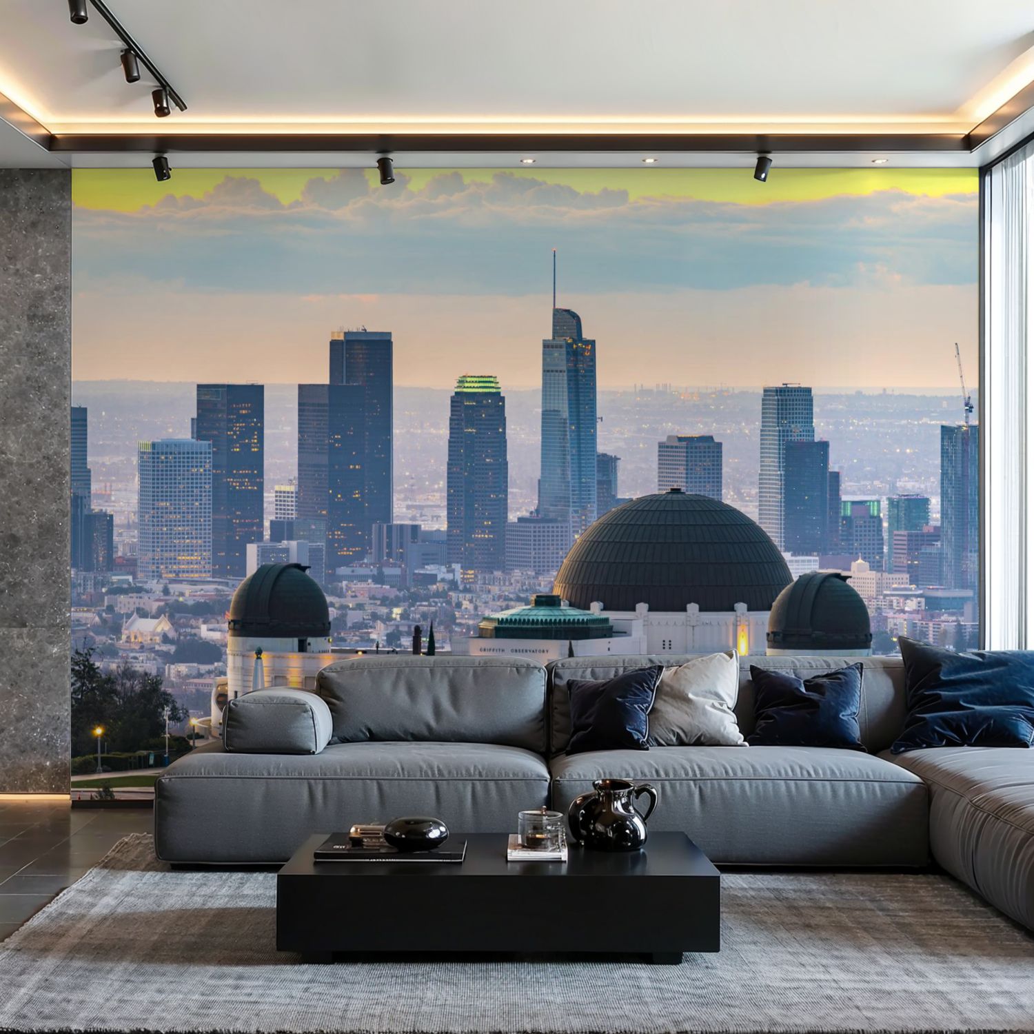 VVLUXIDECO Canvas Wall Mural Peel and Stick Large Wallpaper Griffith ...
