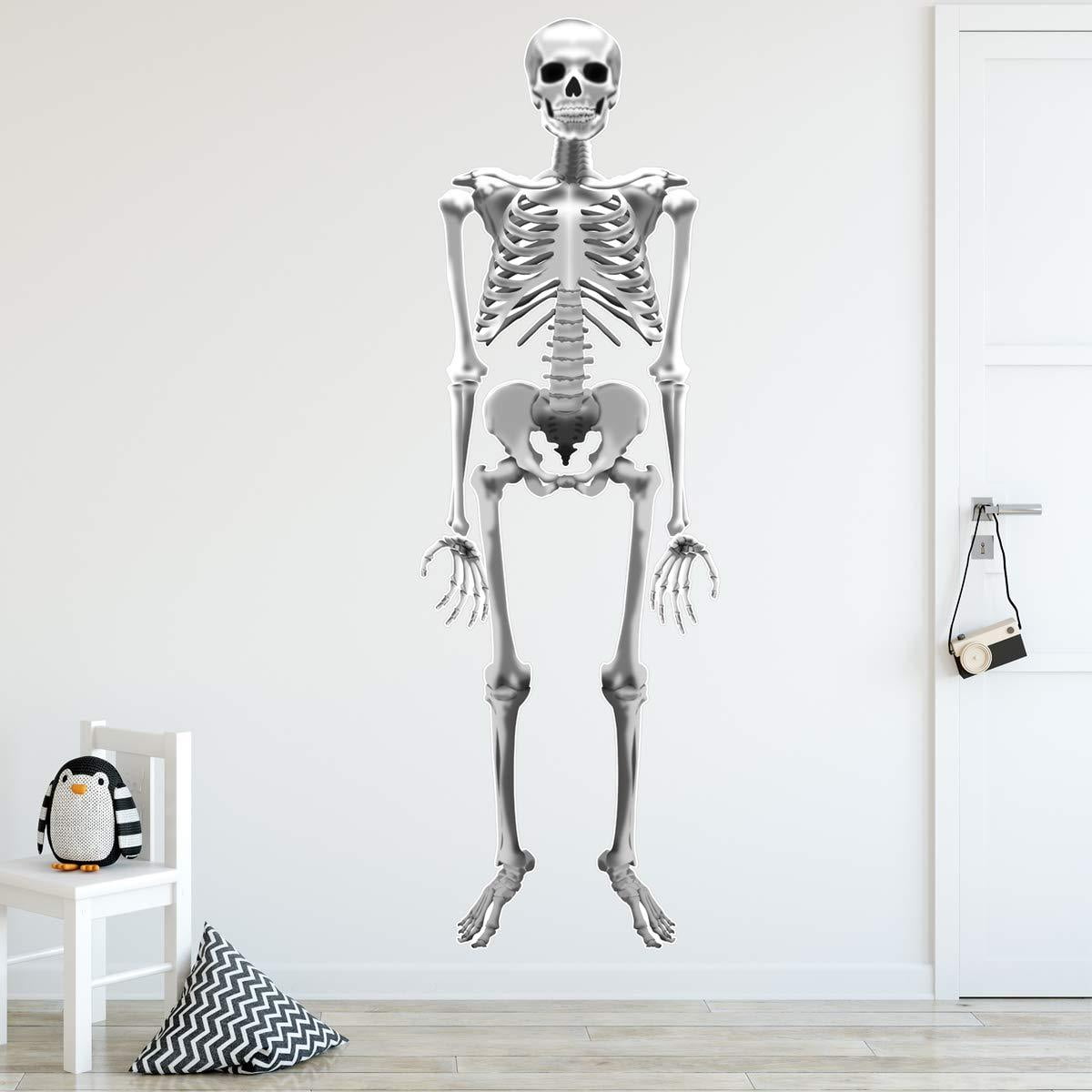 VWAQ Skeleton Wall Decal Removable - Peel and Stick Reusable Halloween ...