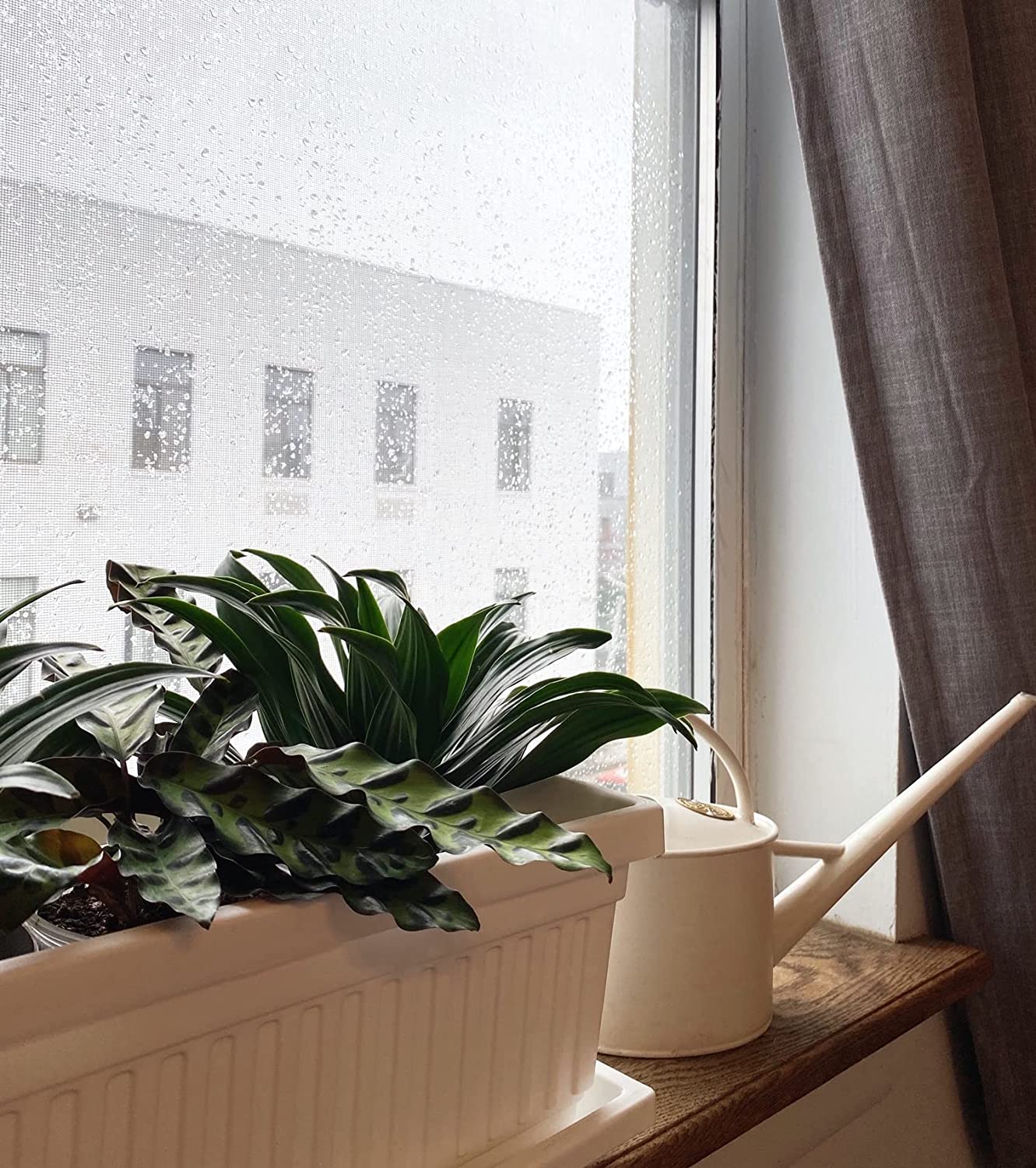 VYIHBO Venetian Window Planter w/Drain Plug - Long Planter for ...