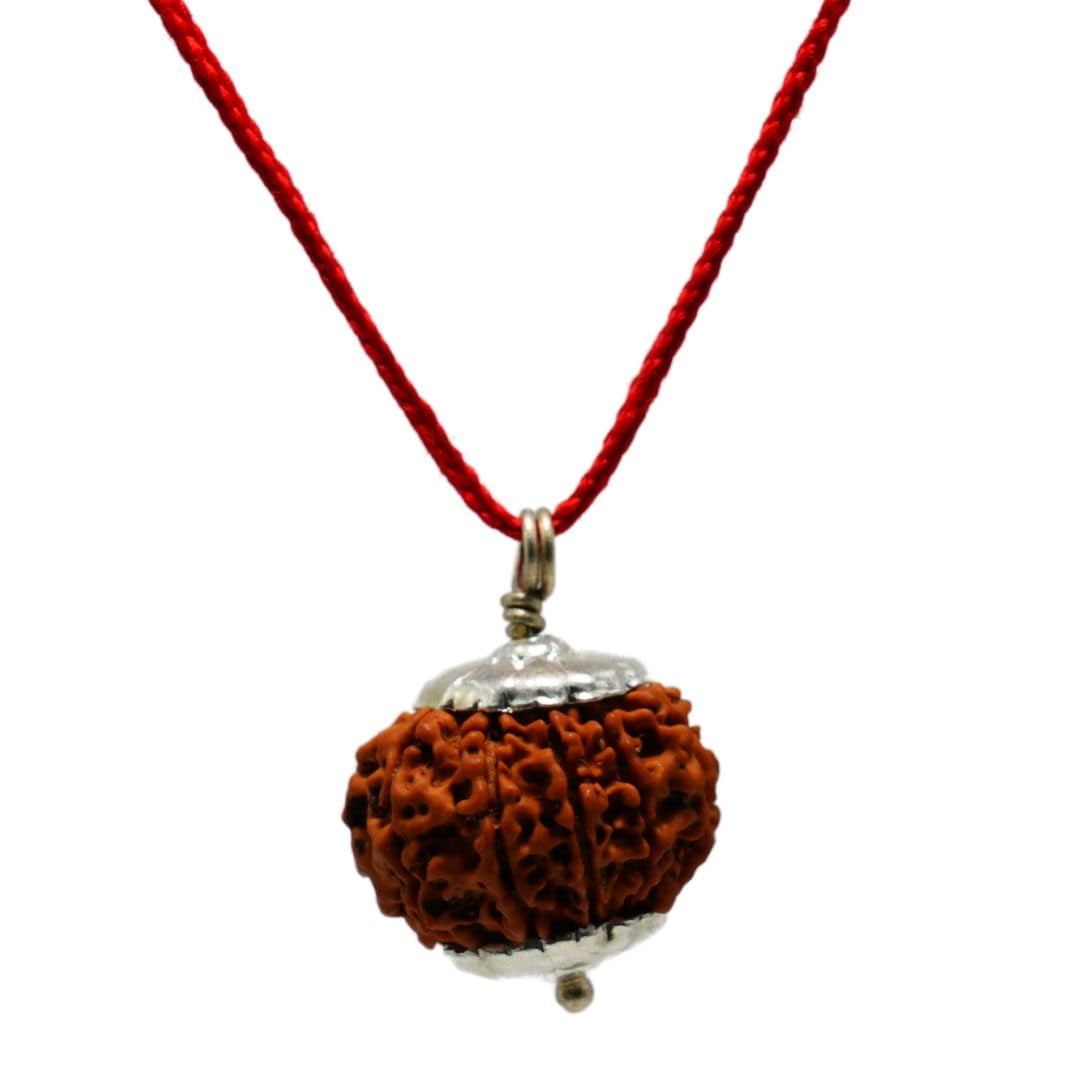 Vaidehi Certified 10 Mukhi Rudraksha/Ten Faced Rudraksha Pendant ...