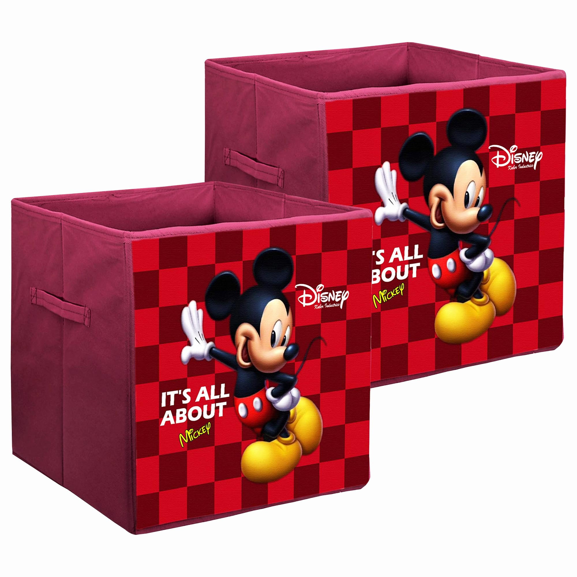 Vaidehi Industries Pack of 2 Collapsible Storage Box | Kids Toys ...