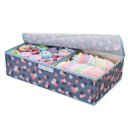 Vaidehi Star Innerwear Organizer for Wardrobe, 17 Compartment ...