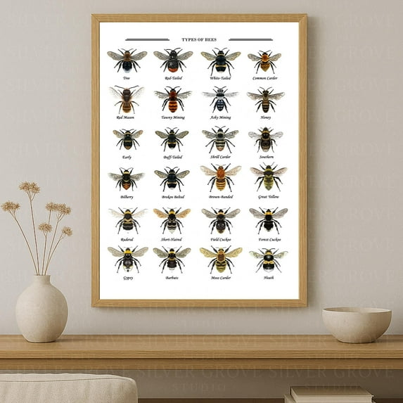 ValCoPo Bee Identification Chart: British & European Bees Poster ...